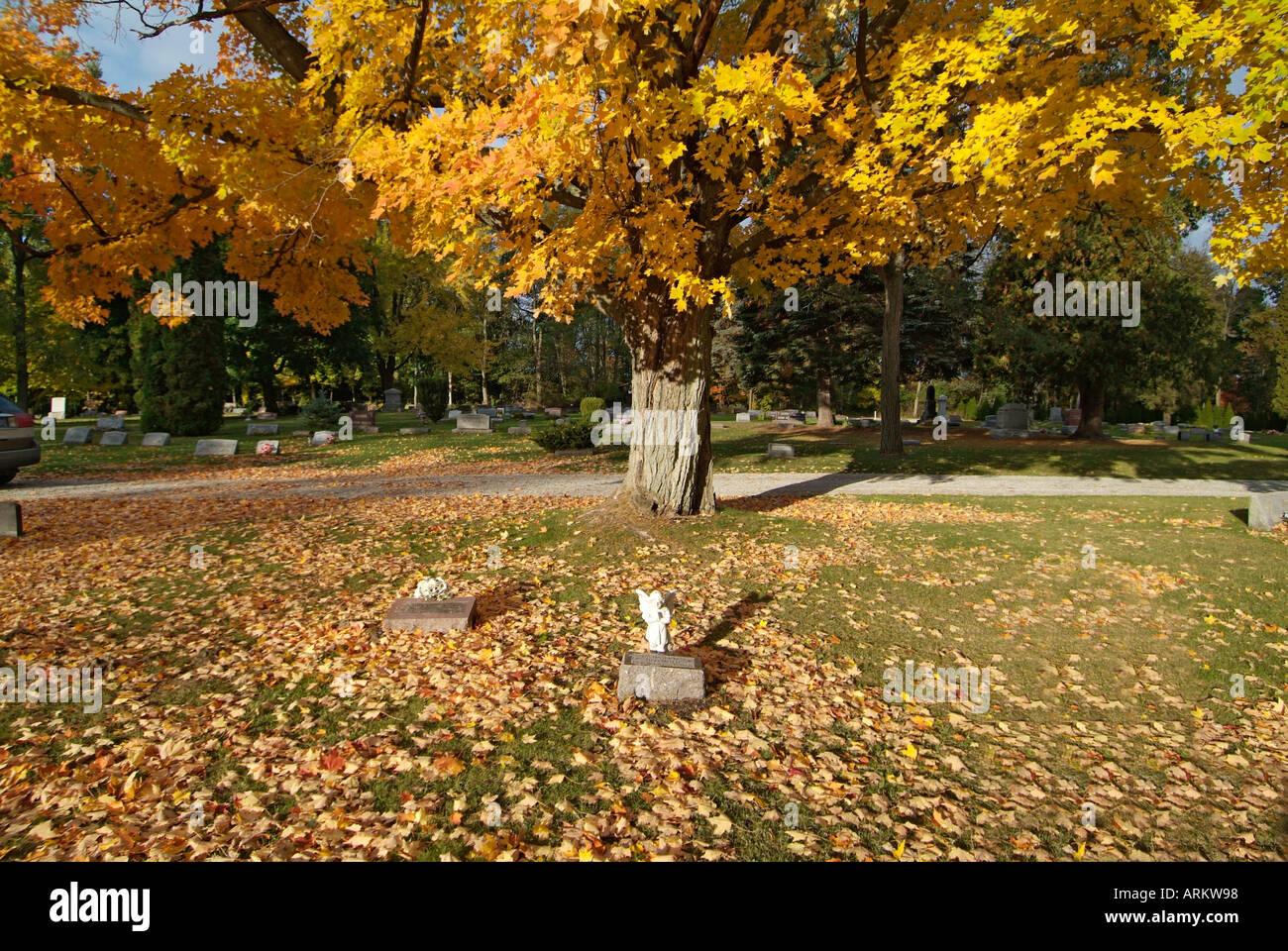 Cemetery with tombstones during fall autumn color foliage near Port ...
