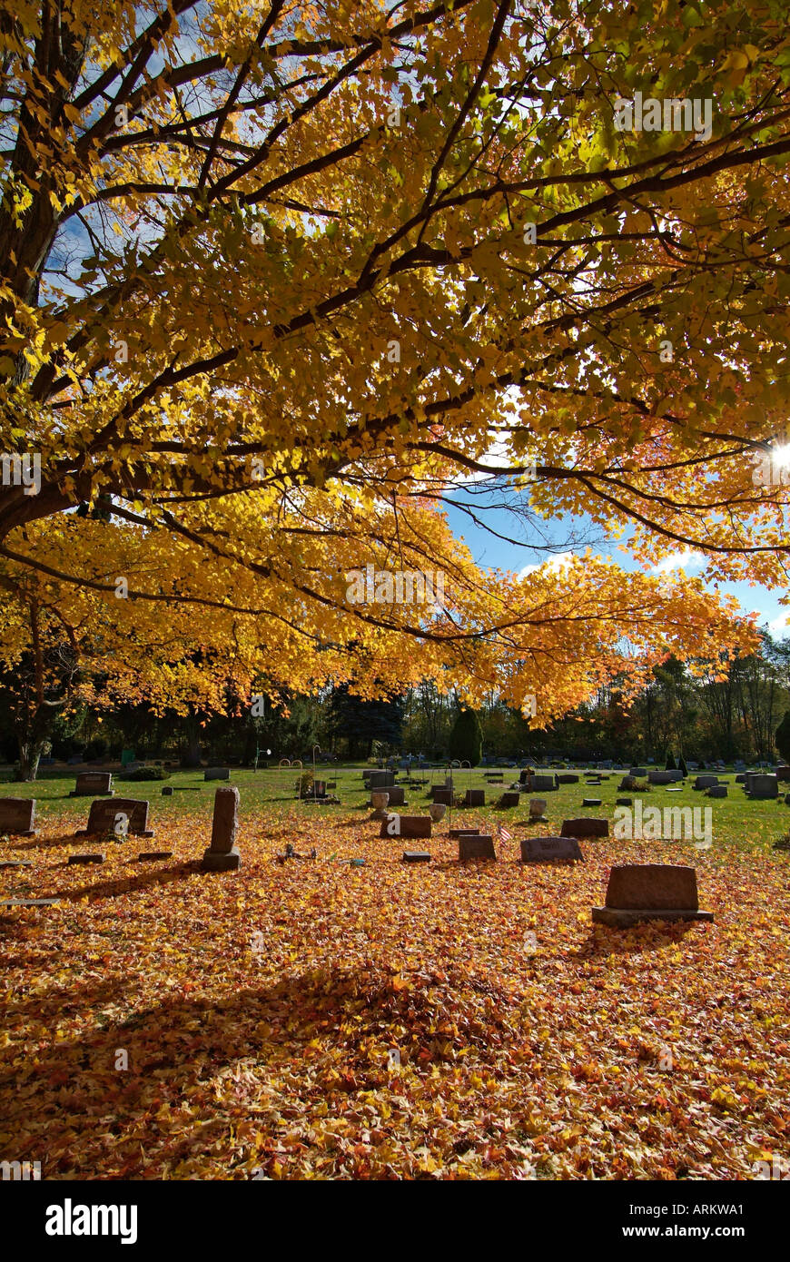 Cemetery with tombstones during fall autumn color foliage near Port ...