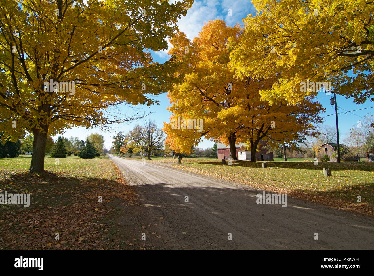 Country road leading to infinity during autumn fall color season in ...