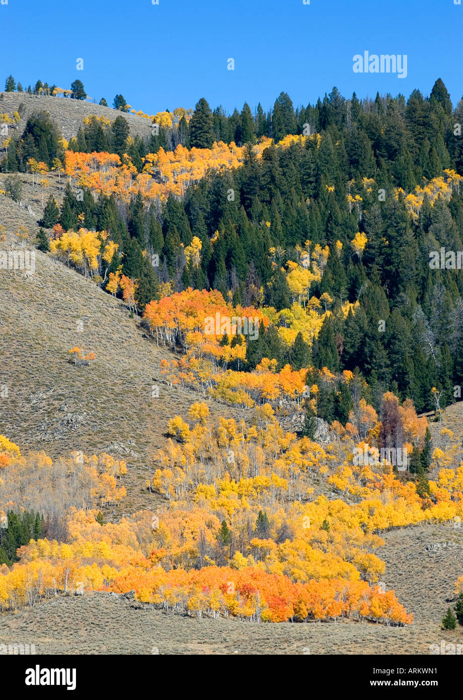 Sawtooth scenic byway autumn hi-res stock photography and images - Alamy