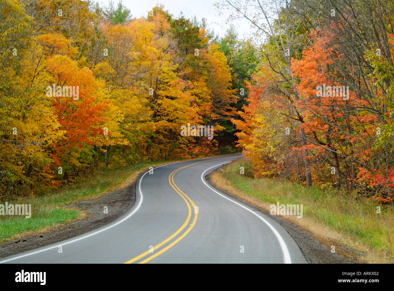 Country road leading to infinity during autumn fall color season in ...
