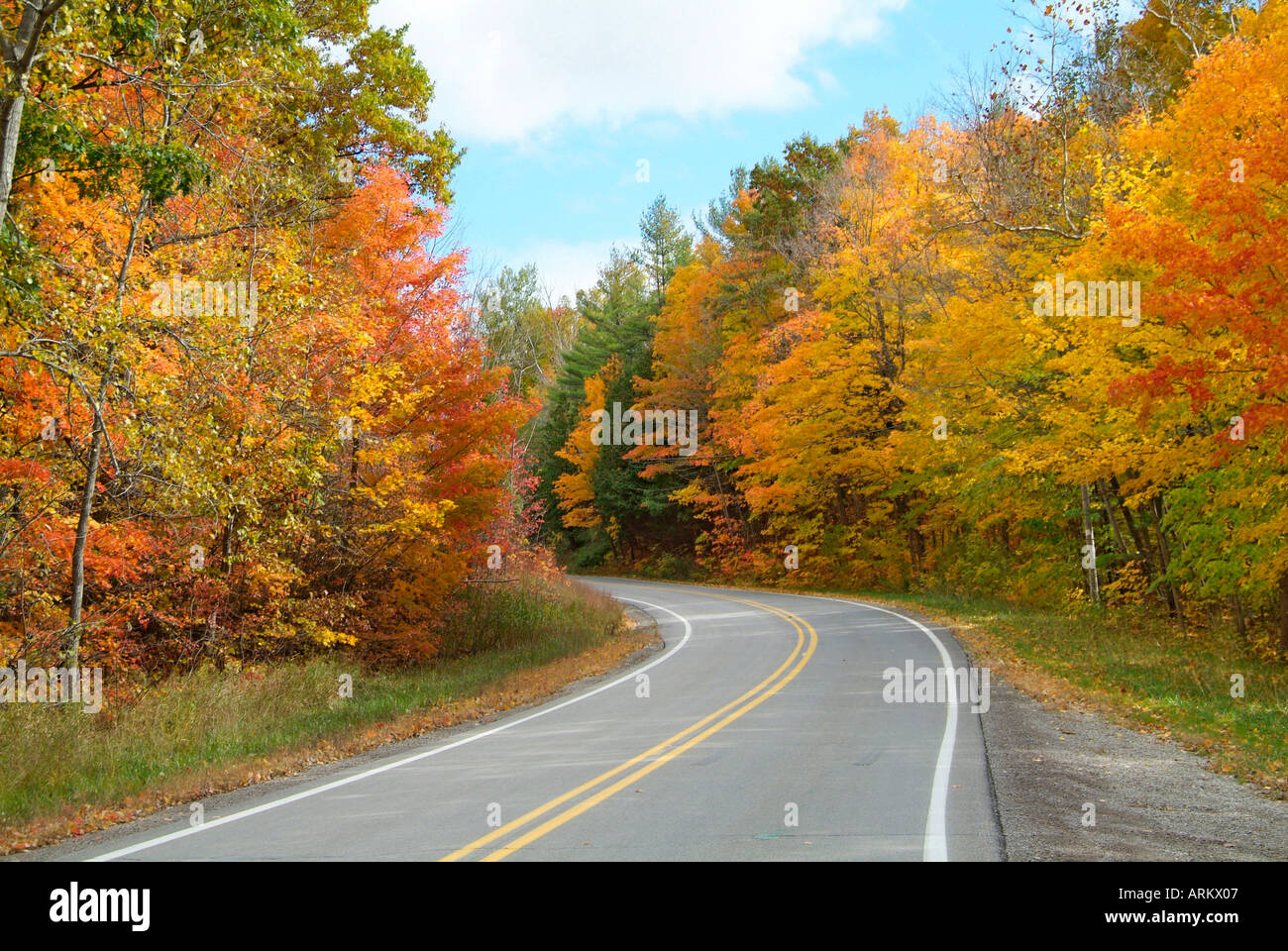 Country road leading to infinity during autumn fall color season in ...