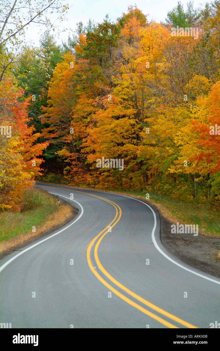Country road leading to infinity during autumn fall color season in ...
