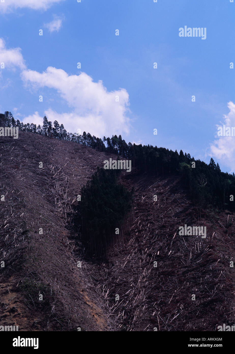 Logging japan forest hi-res stock photography and images - Alamy