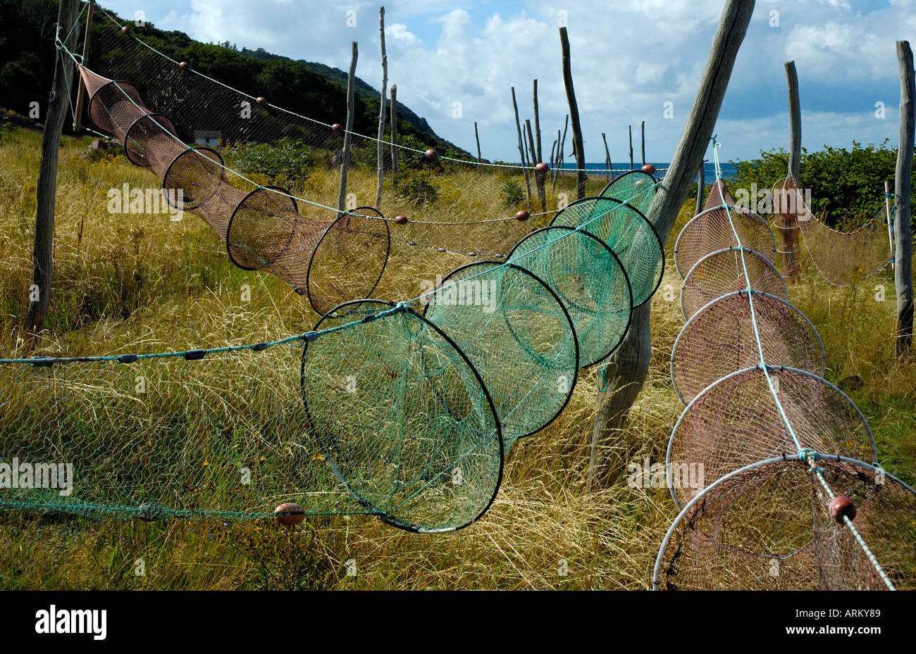 Hoop net trap hi-res stock photography and images - Alamy