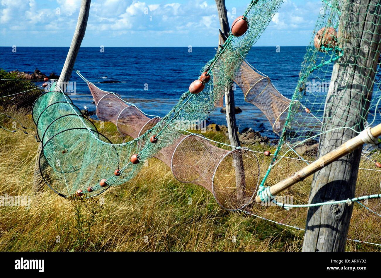 Hoop net fish trap hi-res stock photography and images - Alamy