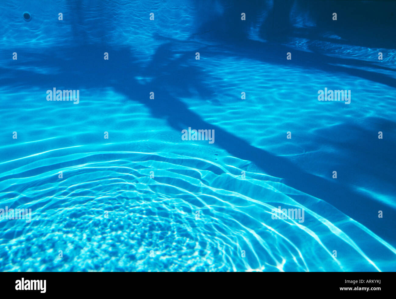 Palm tree shadow & underwater Stock Photo - Alamy