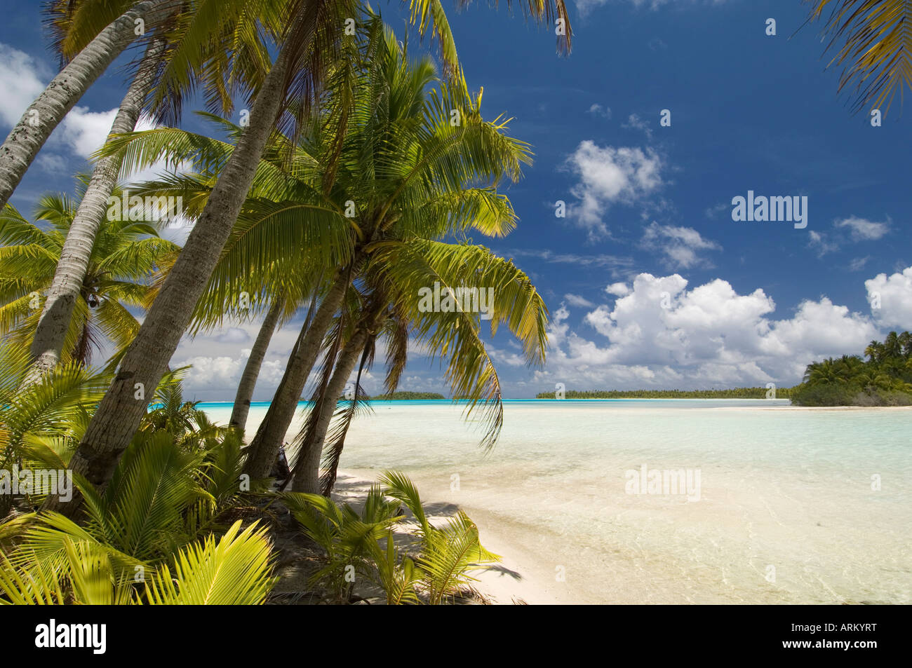 Blue Lagoon, Rangiroa, Tuamotu Archipelago, French Polynesia, Pacific ...