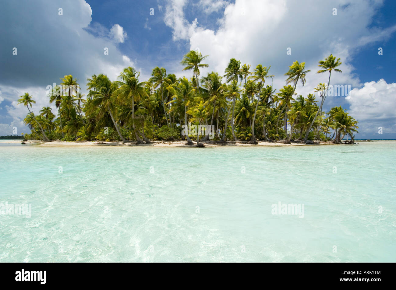 Blue Lagoon, Rangiroa, Tuamotu Archipelago, French Polynesia, Pacific ...