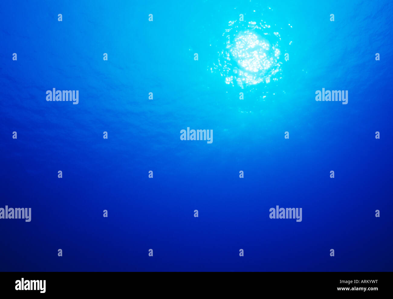 Looking up surface from underwater hi-res stock photography and images ...