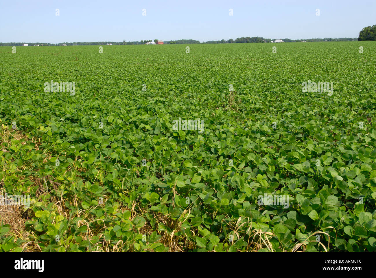 An indiana farm hi-res stock photography and images - Alamy