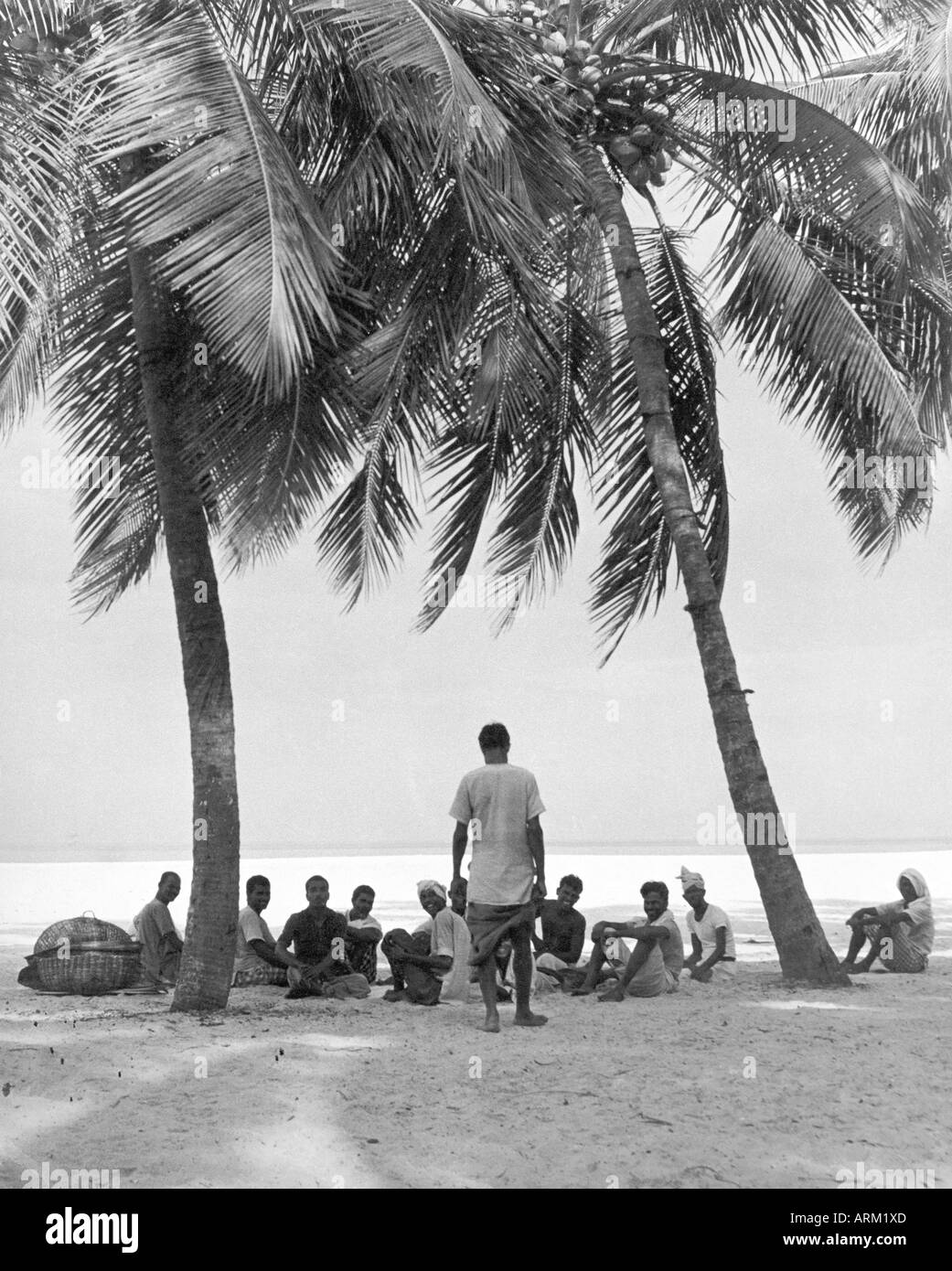 Adult palm tree Black and White Stock Photos & Images - Alamy