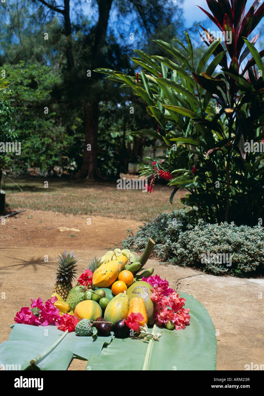 Tropical fruits, Rota Island, Marianas Stock Photo - Alamy