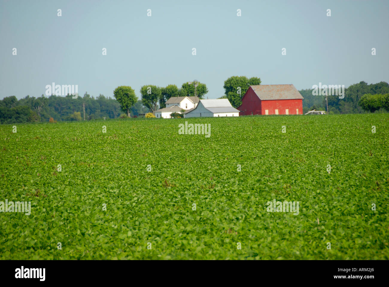 Middle Indiana IN Soybean farm Stock Photo - Alamy