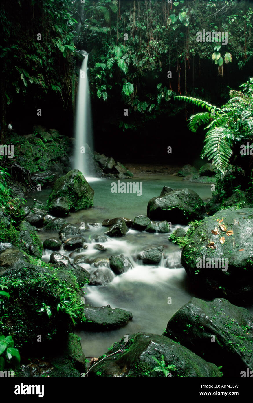Emerald pool waterfall dominica hi-res stock photography and images - Alamy