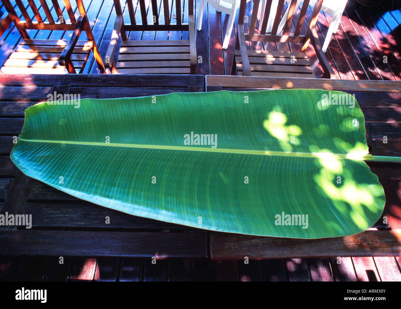 Vein tables hi-res stock photography and images - Alamy