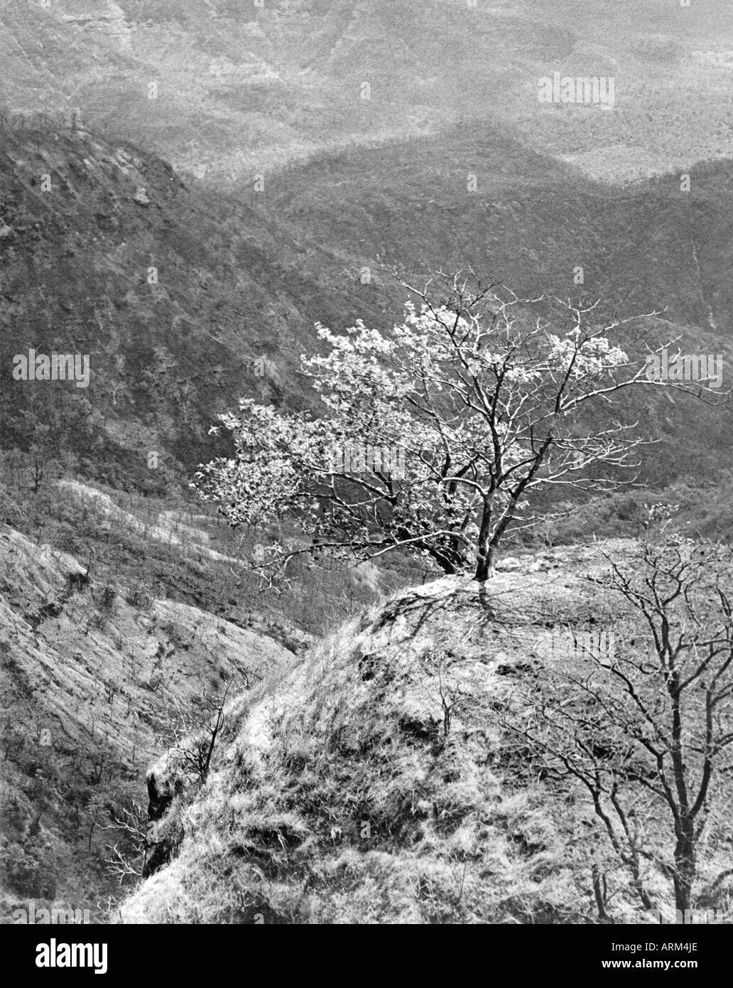 1940 landscape 1940s hi-res stock photography and images - Alamy