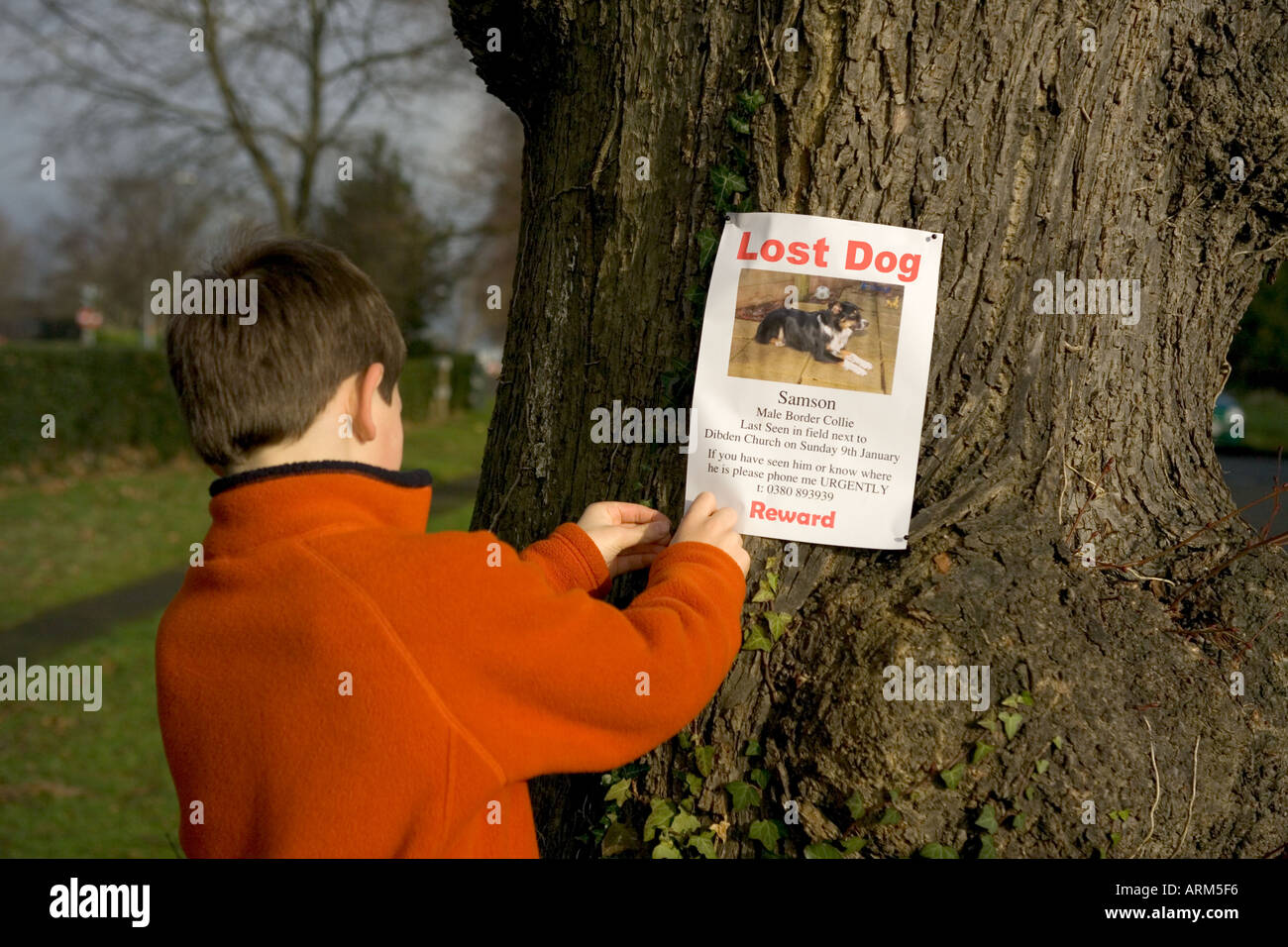 Reward poster hi-res stock photography and images - Alamy