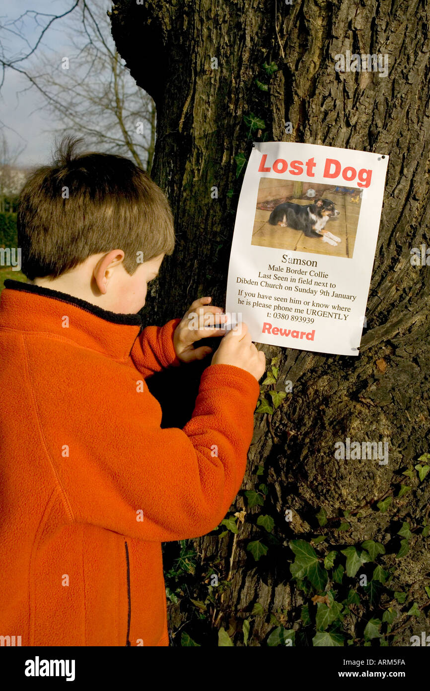 Lost Pet poster of a dog being attached to tree by young boy Stock ...