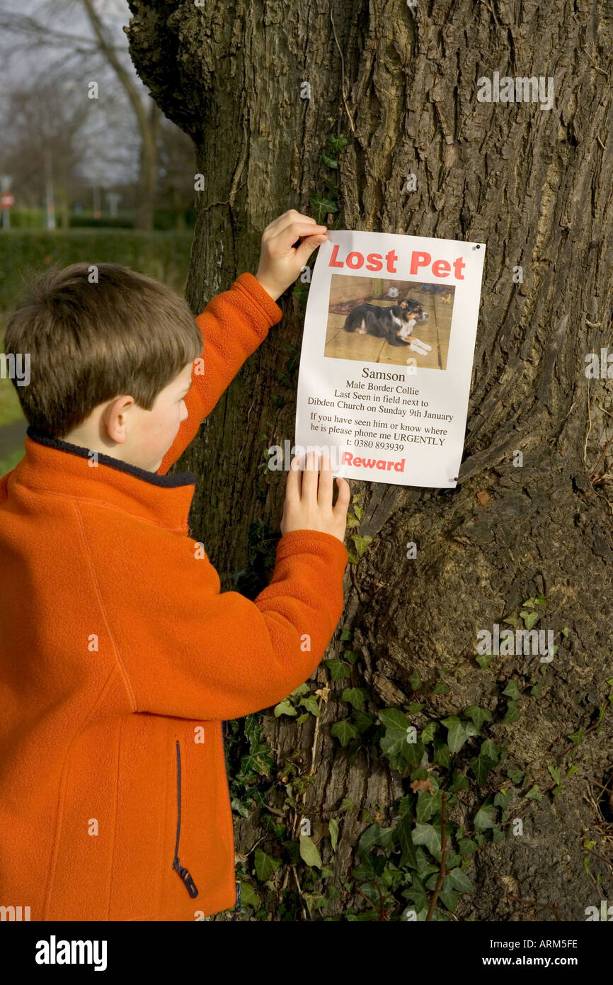 Lost dog poster hi-res stock photography and images - Alamy