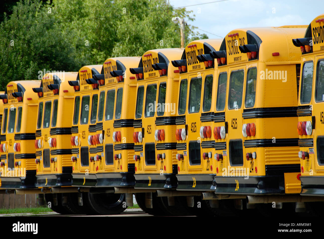 Pattern of yellow school buses Stock Photo - Alamy