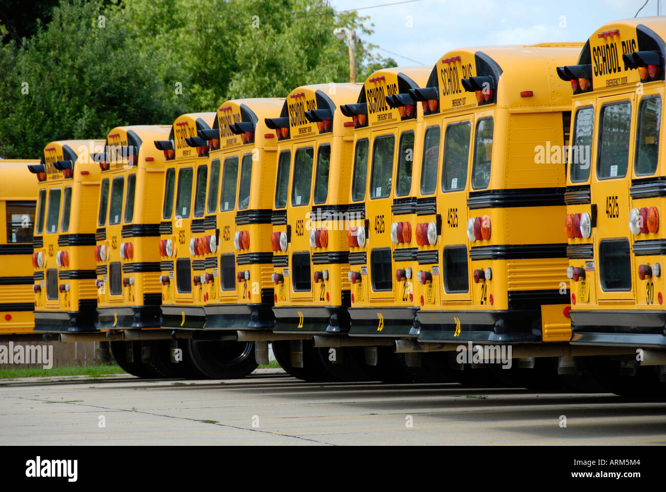 Pattern of yellow school buses Stock Photo - Alamy