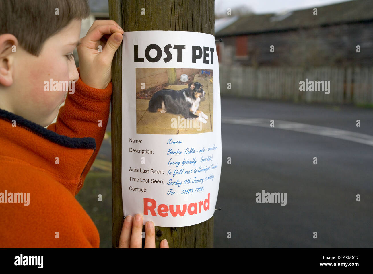 Lost Pet poster of a dog being attached to telegraph pole by young boy ...