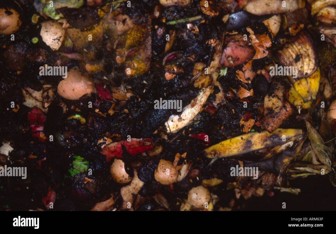 Close up inside compost bin Stock Photo - Alamy