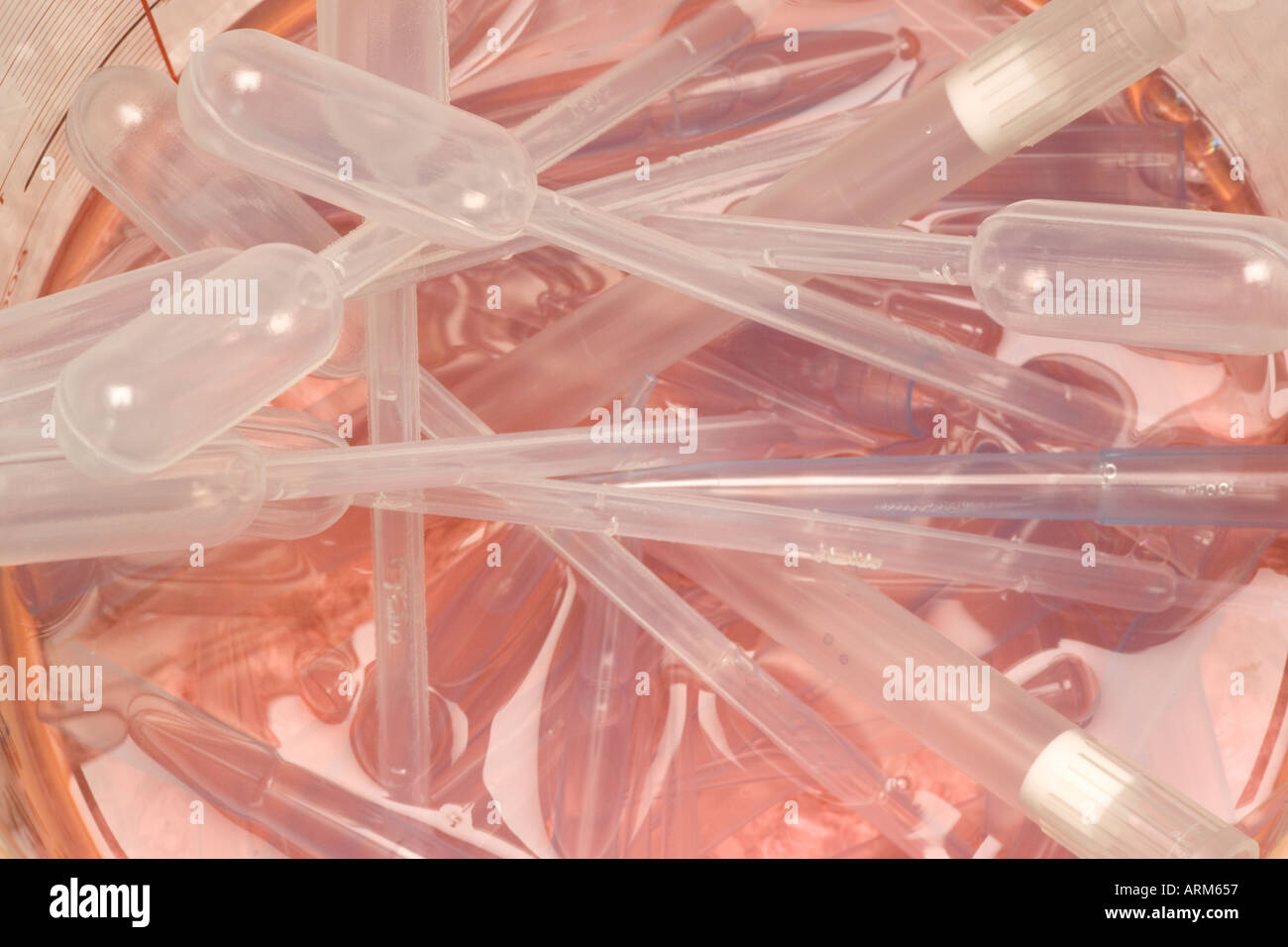 lots of plastic pipettes awaiting disposal Stock Photo - Alamy