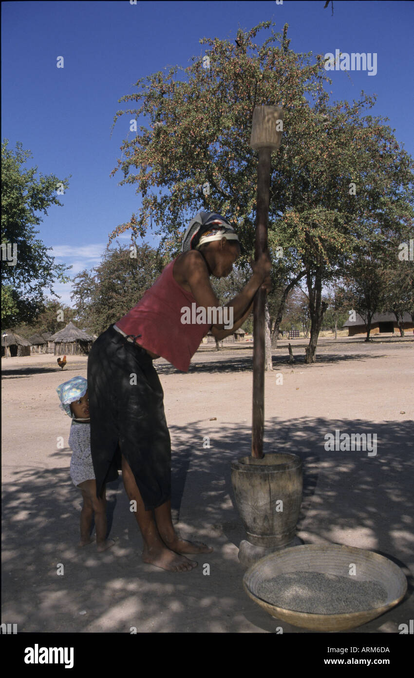 Bushmen food hi-res stock photography and images - Alamy