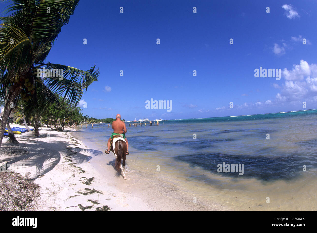 Tourist horseback riding on the beach in Costa Maya Mexico Stock Photo ...
