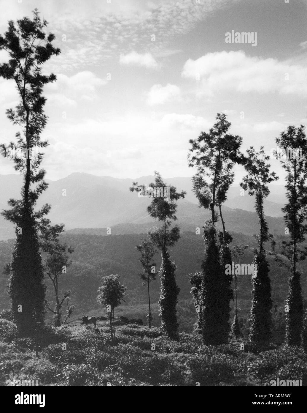 1940 landscape 1940s hi-res stock photography and images - Alamy