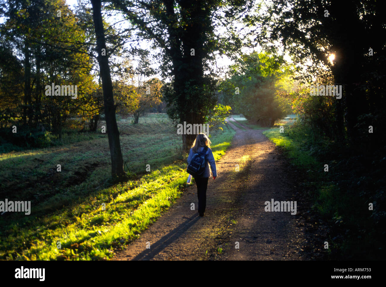 Morning walk school hi-res stock photography and images - Alamy