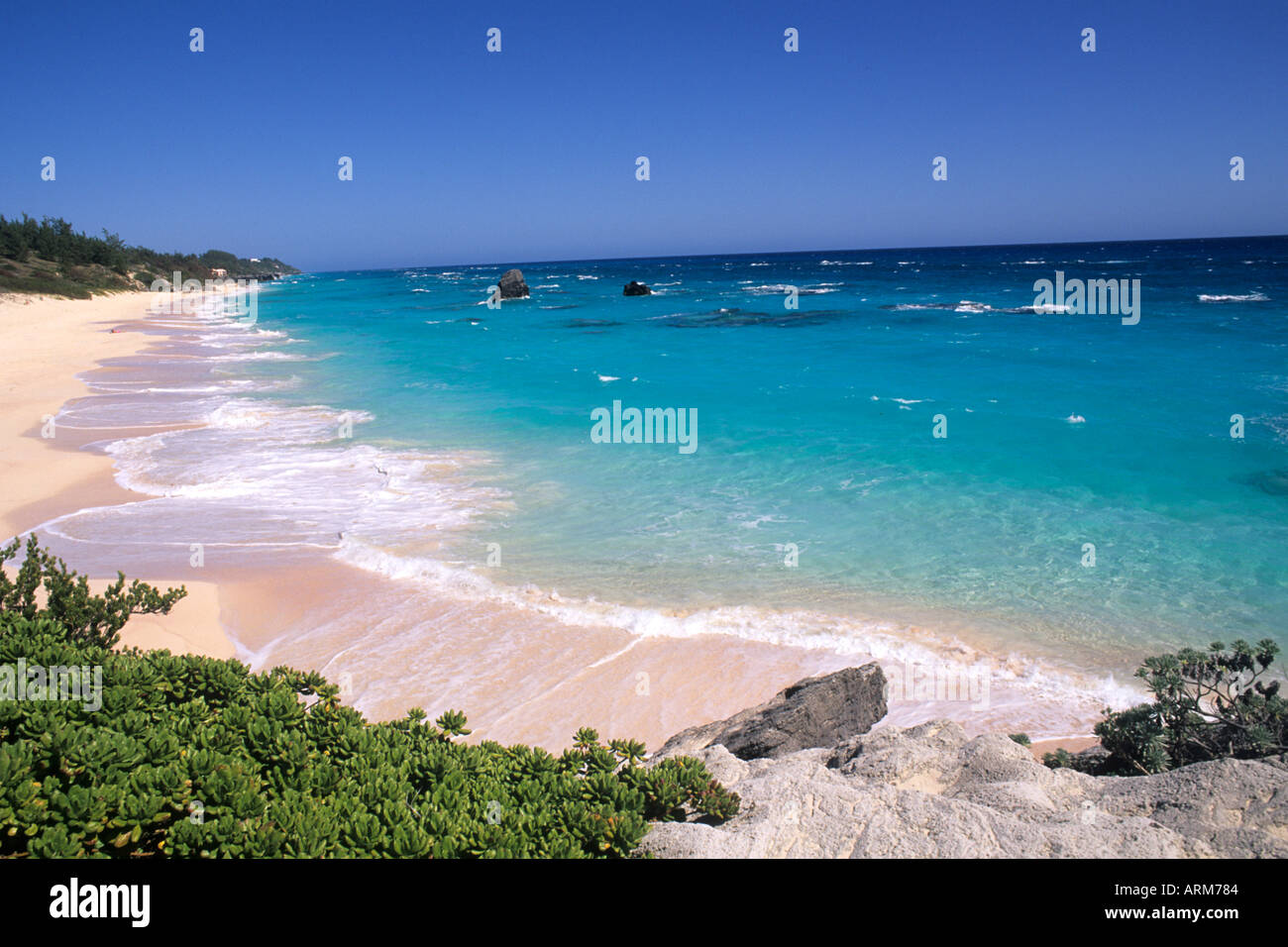 Bermuda pink beaches hi-res stock photography and images - Alamy