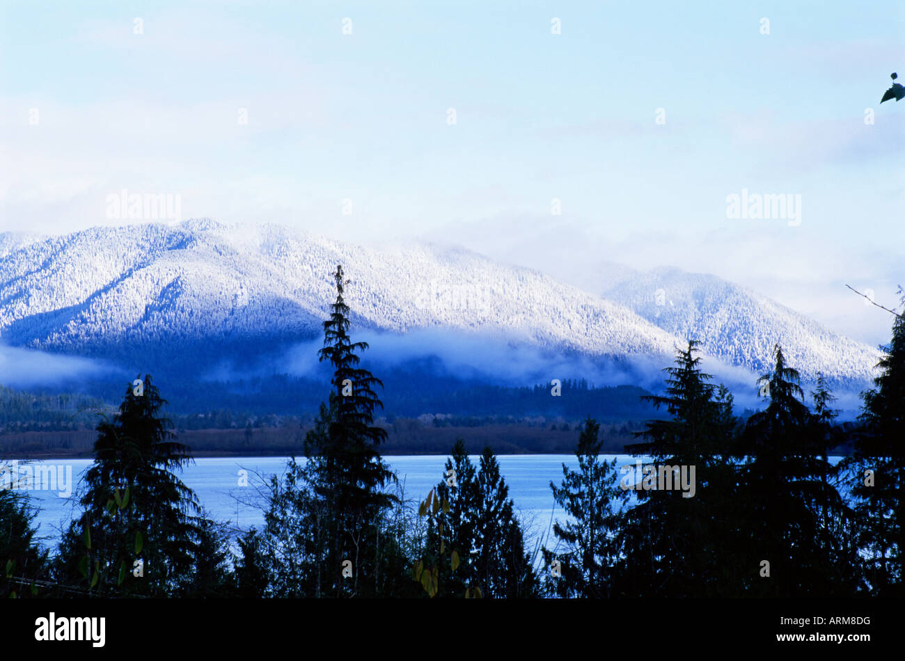 Lake Quinault, Olympic National Park, UNESCO World Heritage Site ...