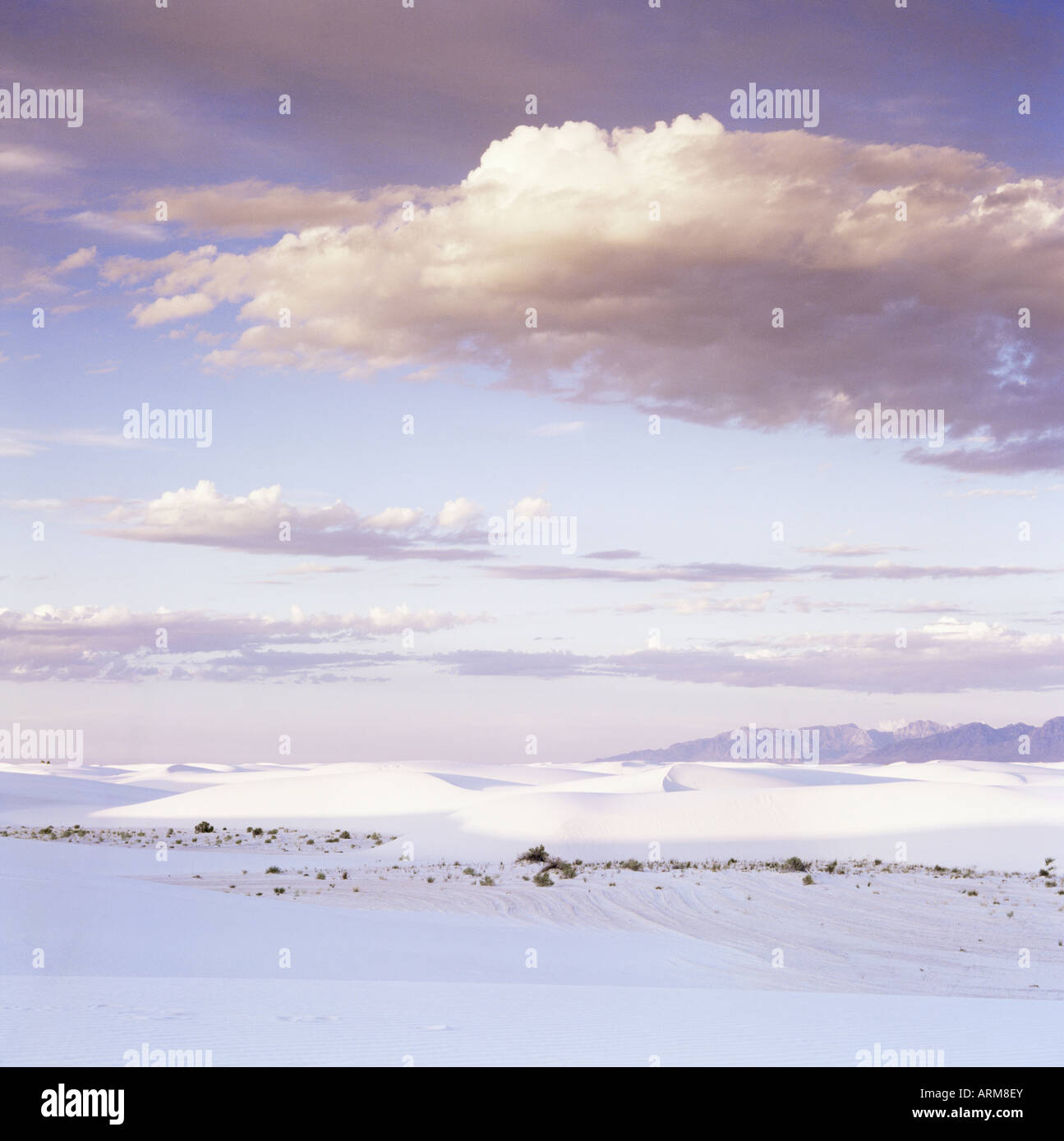 275 square miles hi-res stock photography and images - Alamy