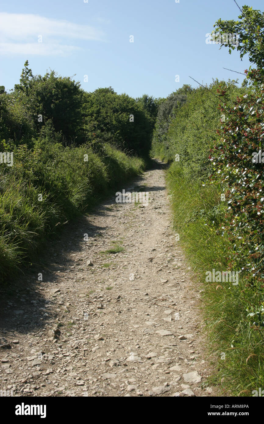 Rural country lane running down from Worth Matravers, Dorset Stock ...