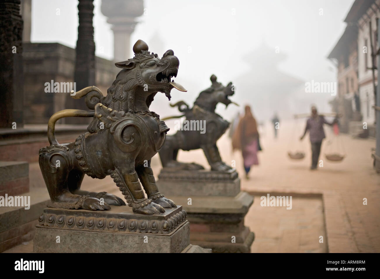 Two lions square hi-res stock photography and images - Alamy