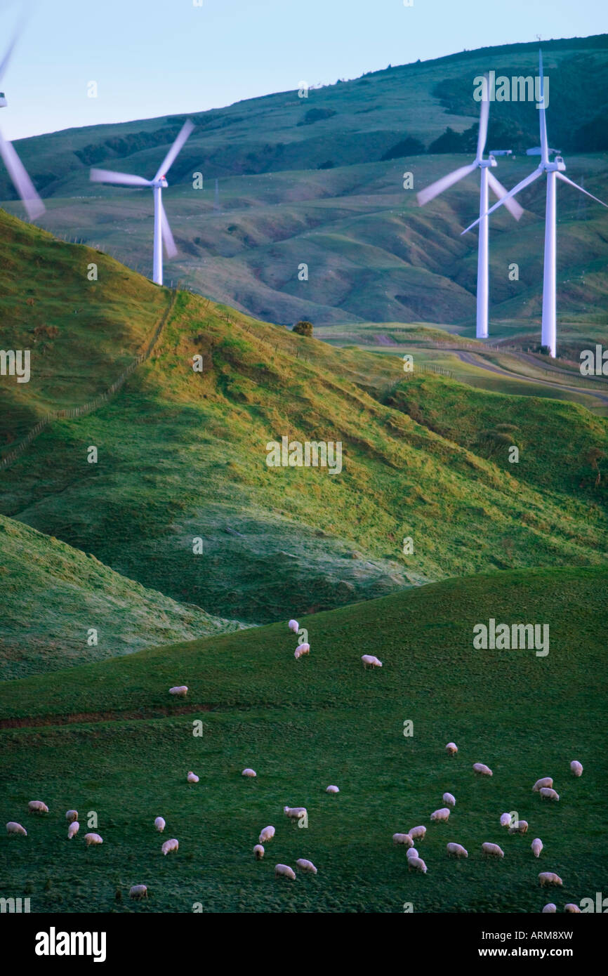 Apiti wind hi-res stock photography and images - Alamy