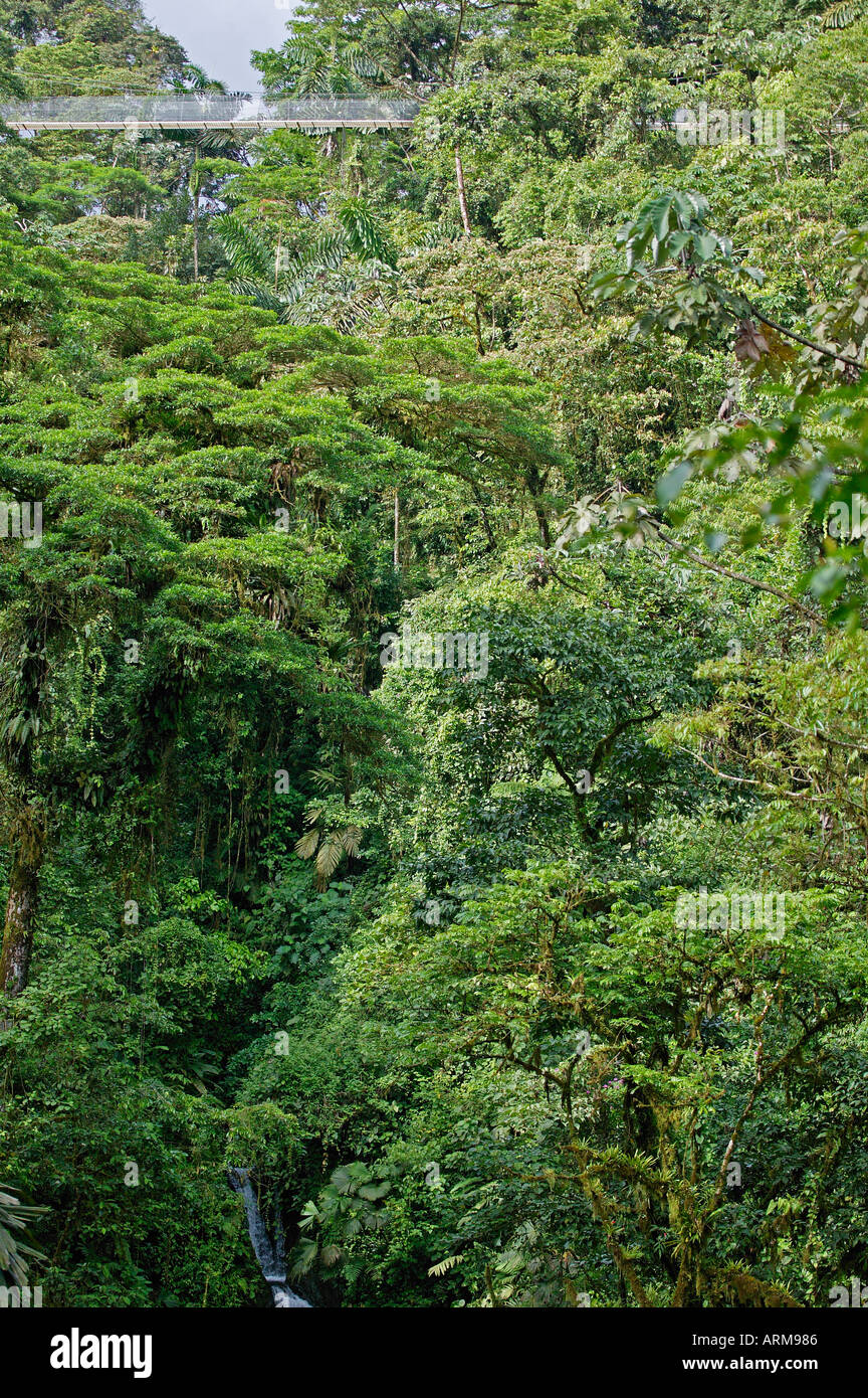 Arenal hanging bridges tour hi-res stock photography and images - Alamy