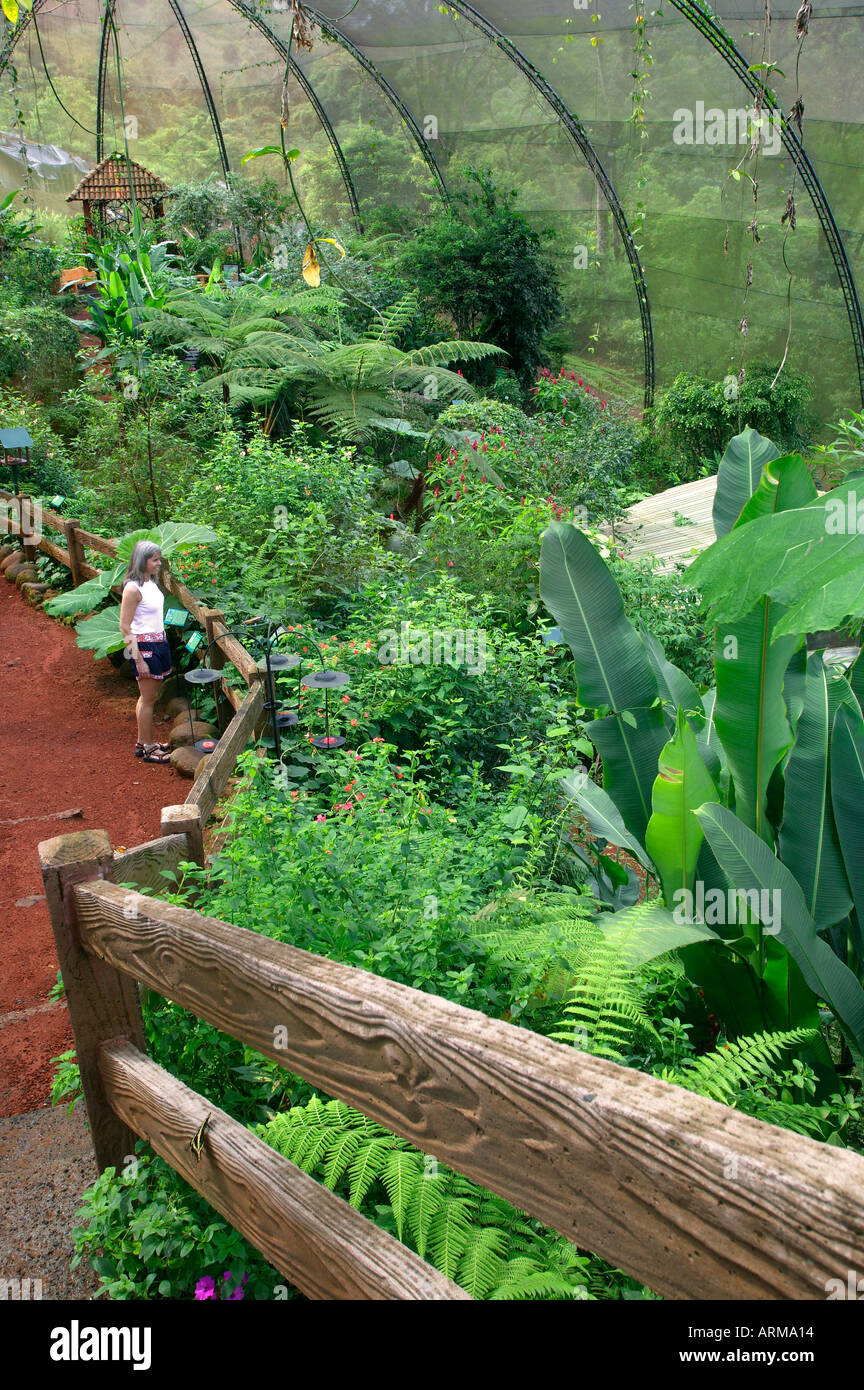 A visitor enjoys The Butterfly Observatory Stock Photo - Alamy