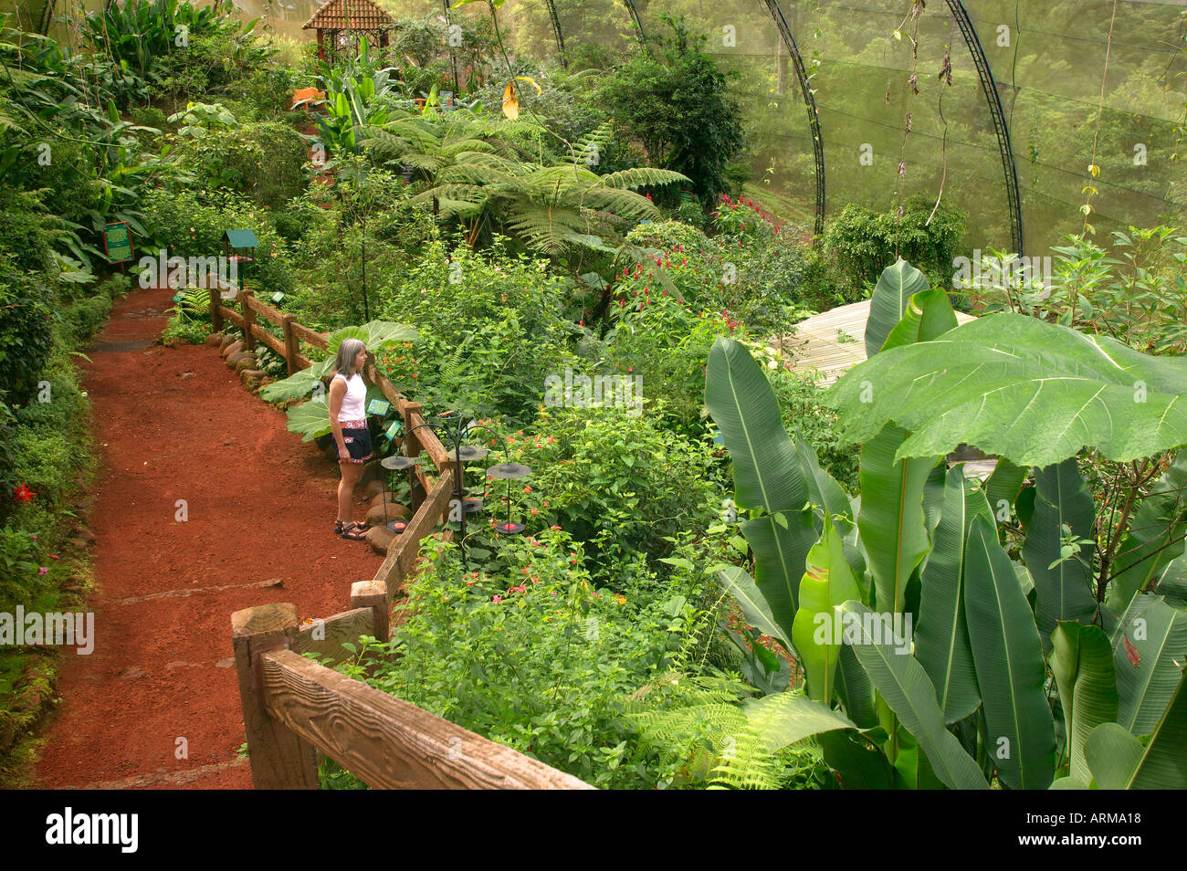A visitor enjoys The Butterfly Observatory Stock Photo - Alamy
