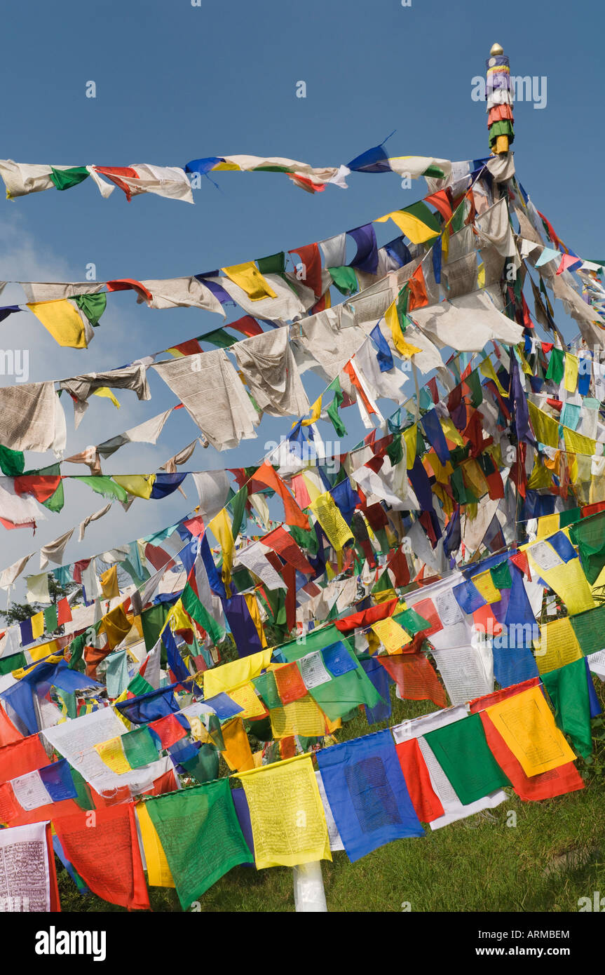 Vertical buddhist prayer flags flapping hi-res stock photography and ...