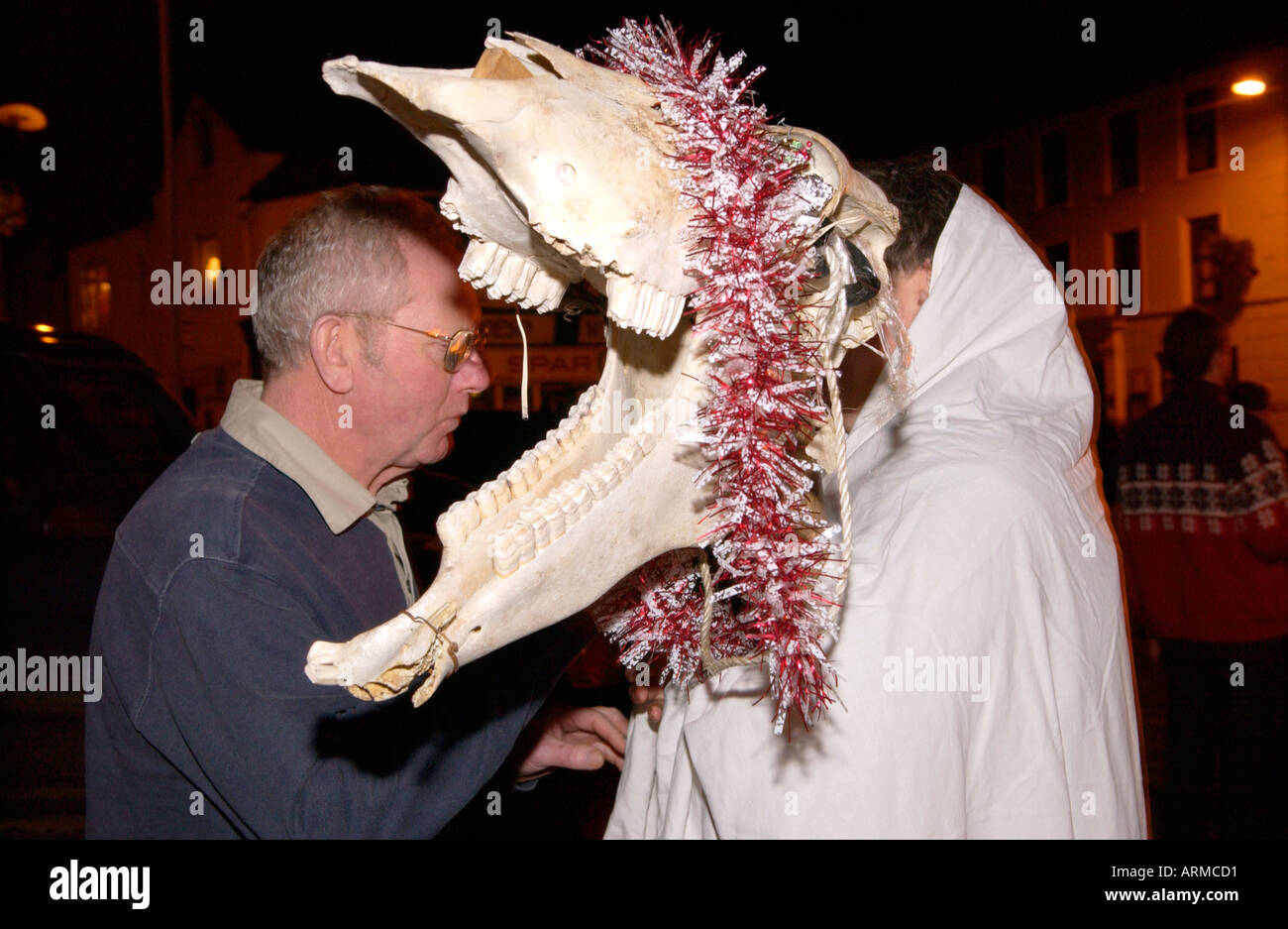Mari lwyd decorated skull new hi-res stock photography and images - Alamy