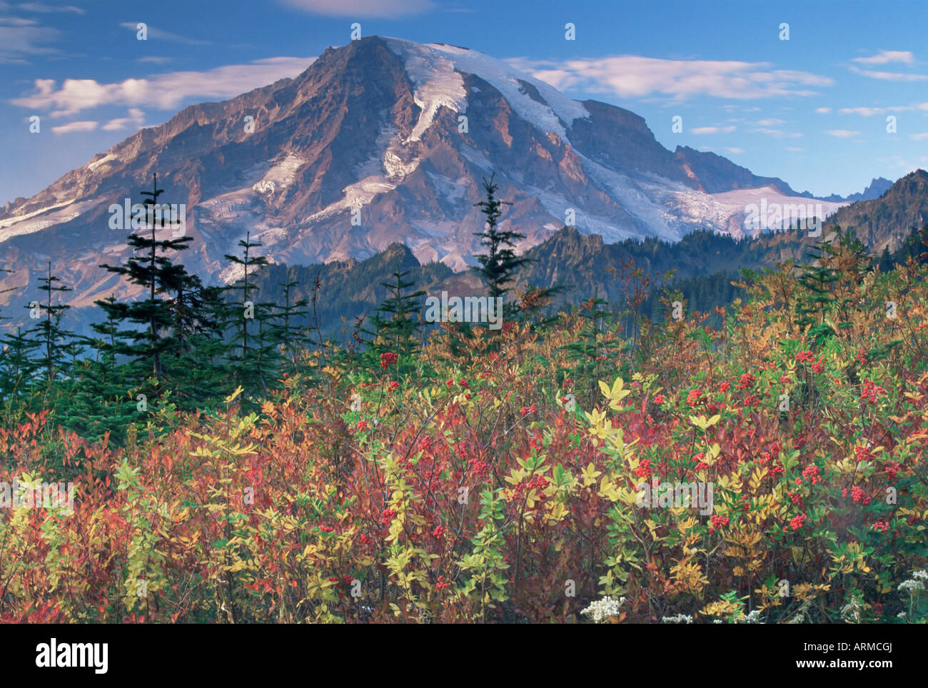 Landscape, Mount Rainier National Park, Washington state, United States ...