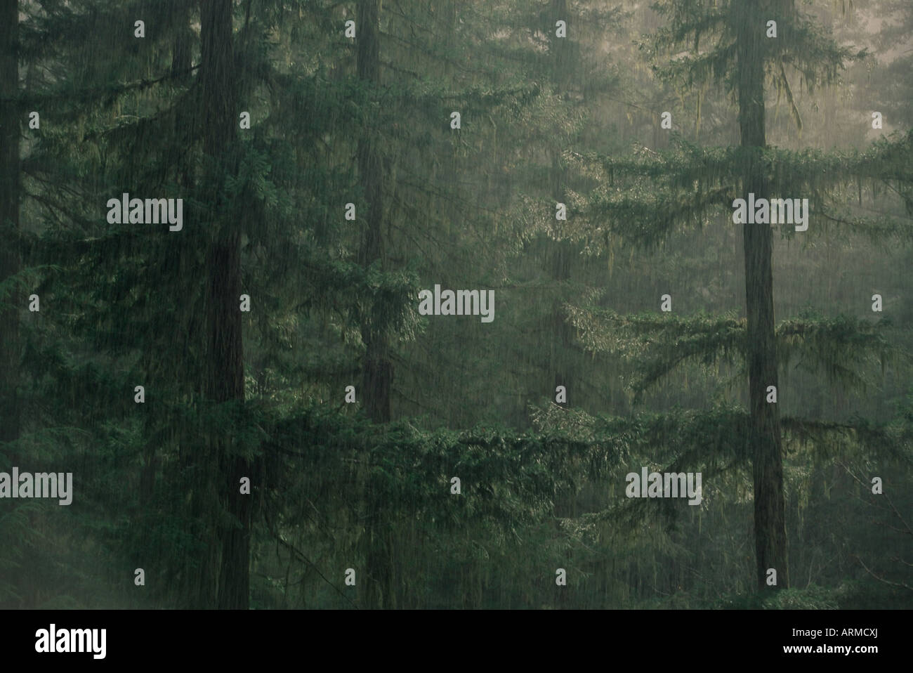 Oregon rain hi-res stock photography and images - Alamy