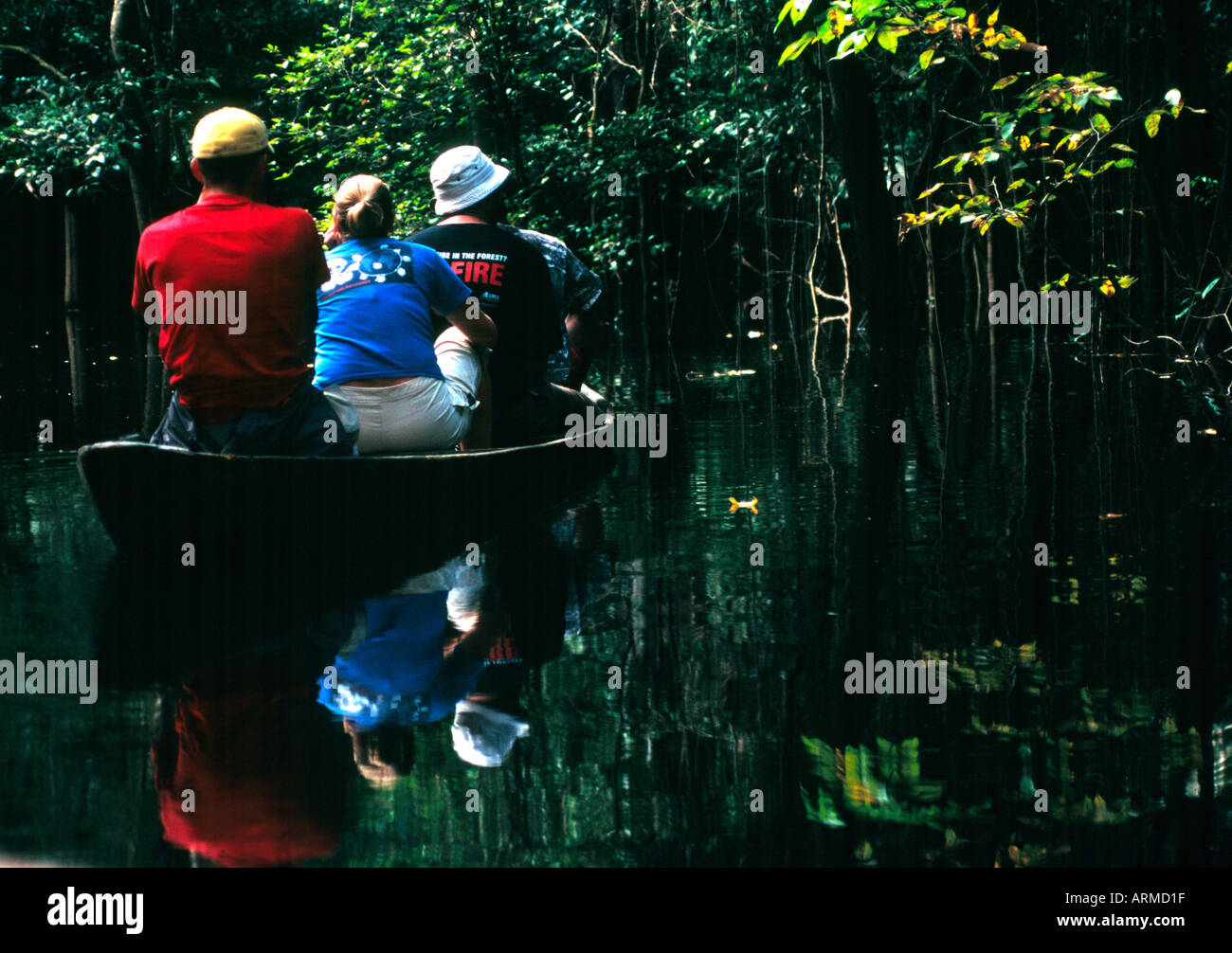 Amazon jungle explorer hi-res stock photography and images - Alamy