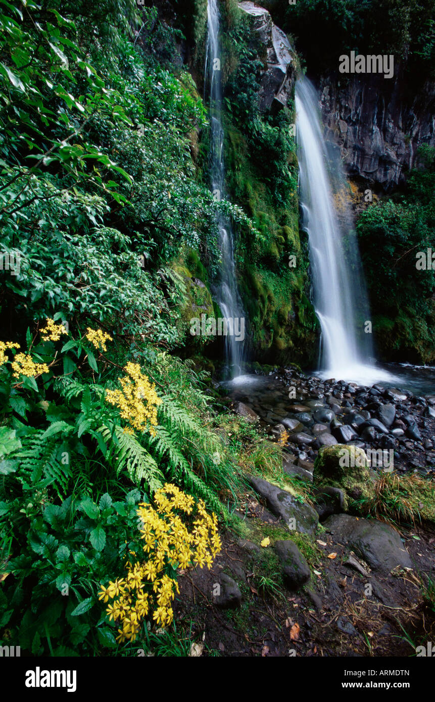 Dawson Falls, Egmont National Park, Taranaki, North Island, New Zealand ...