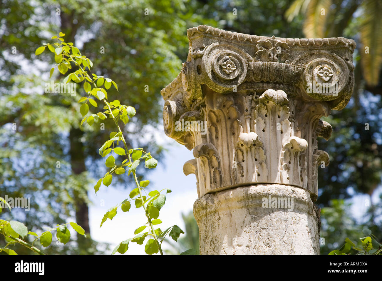 Seville Spain Column in Real Alcazar gardens Stock Photo - Alamy