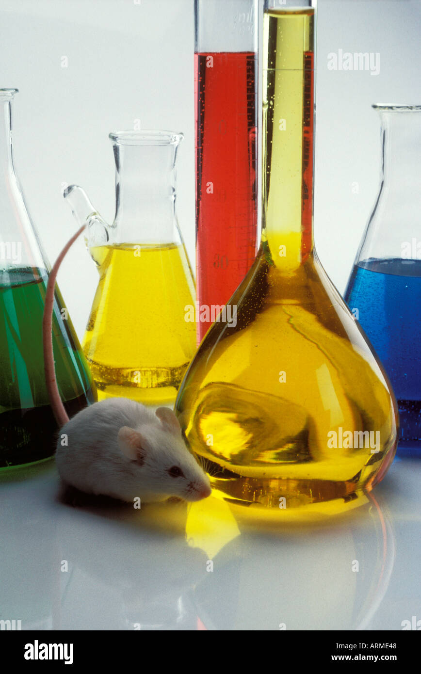 Beakers and mouse Stock Photo - Alamy
